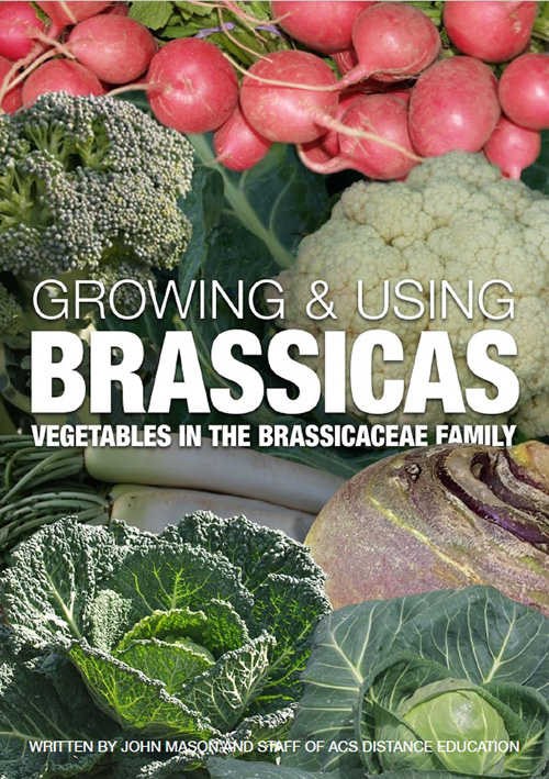 ACS eBook Media Page