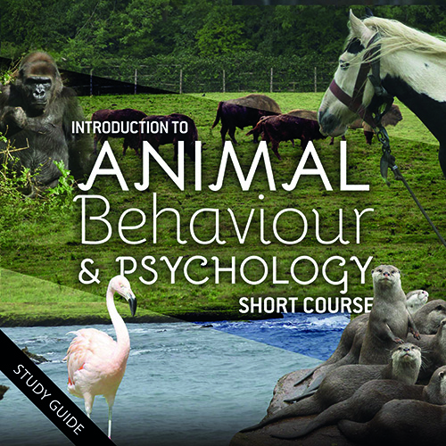 ACS eBook Media Page